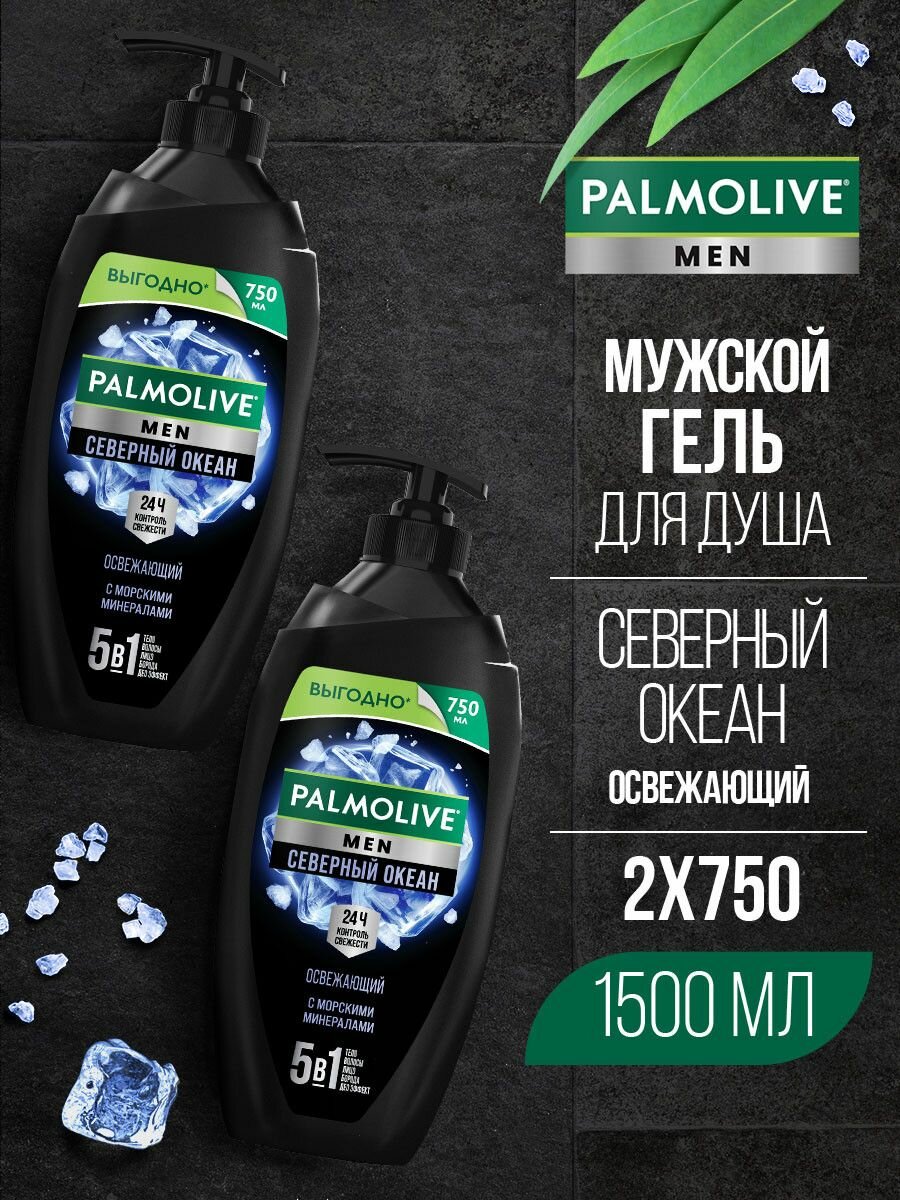 Парфюмированный гель для душа Palmolive Мужской /Men Северный Океан Освежающий 5 в 1, 750 мл, 2 шт