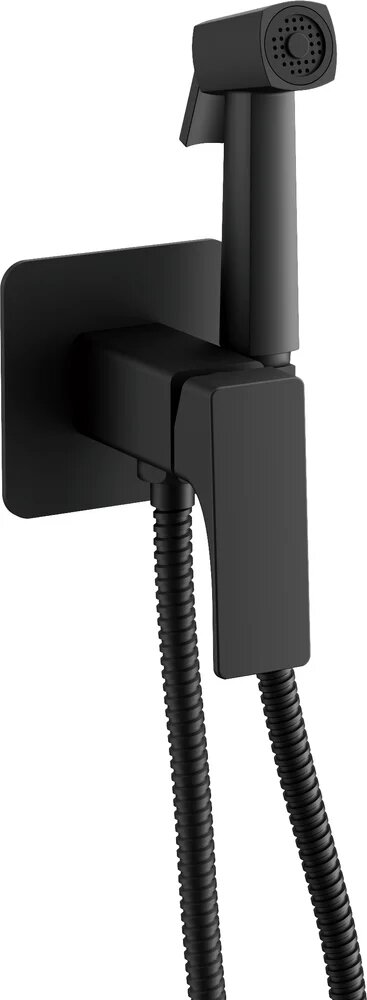 Гигиенический душ BELZ B55709-7 встраиваемый, скрытого монтажа, со смесителем, черный, матовый, латунь, рычажный, смеситель для биде