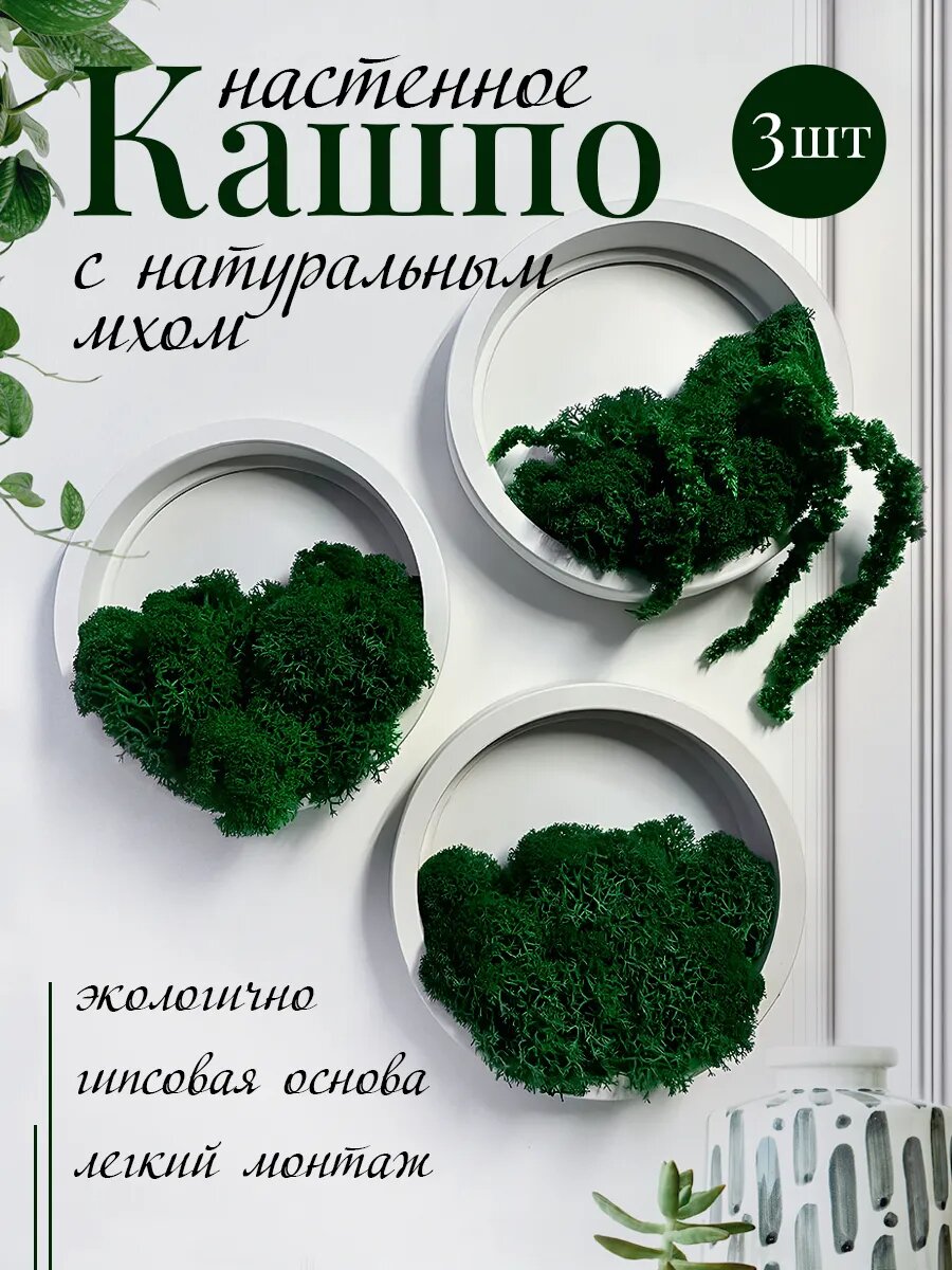 Настенные кашпо StabFlora, 10 см, гипс, стабилизированный мох, амарант, 3 шт.