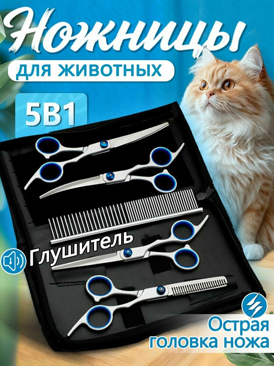 Набор для груминга 6 в 1, ножницы из нержавеющей стали, всё для ухода за шерстью домашних животных.