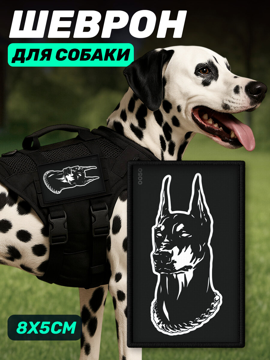 Шеврон на шлейку для собак Доберман
