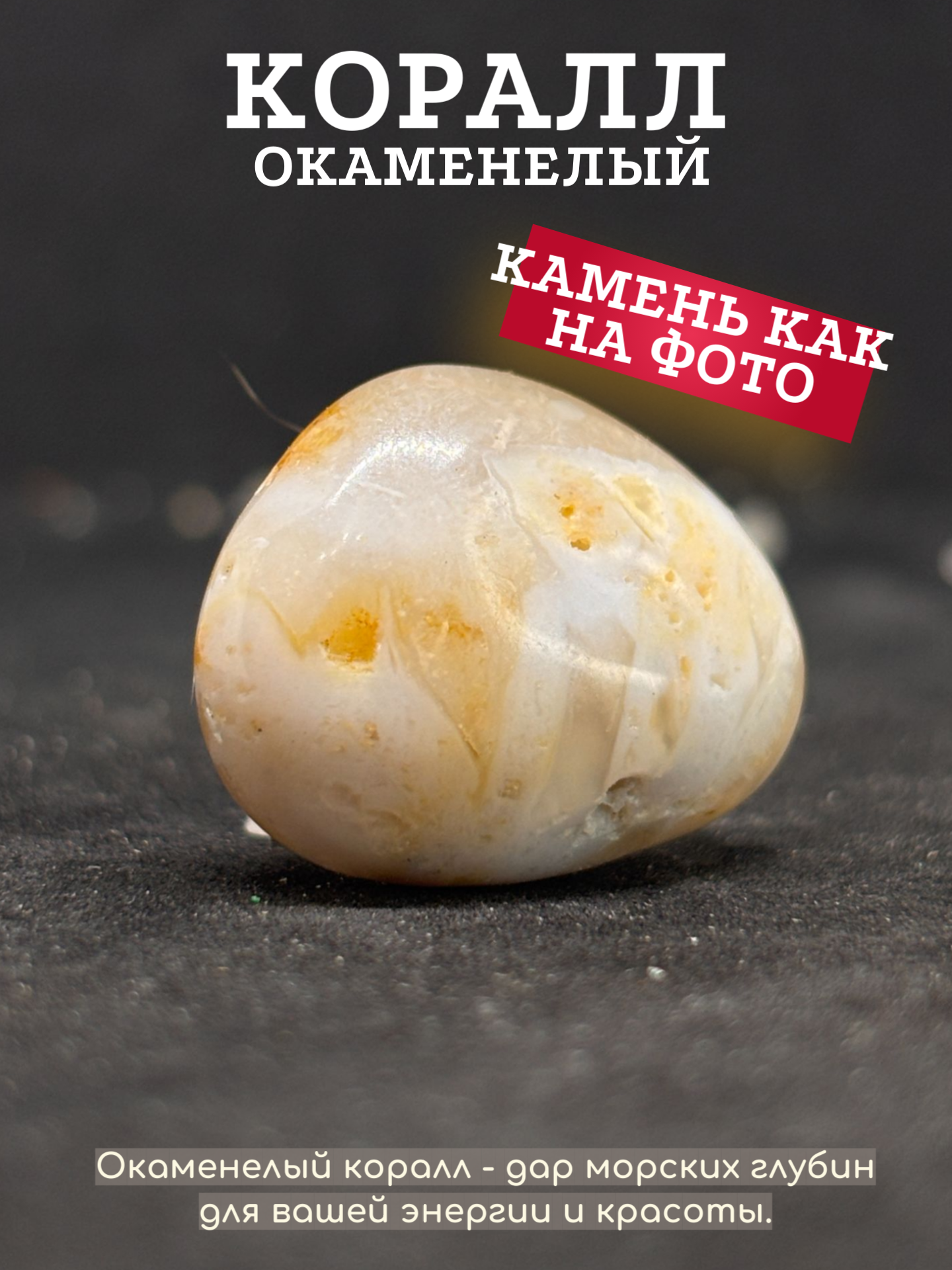 Коралл натуральный