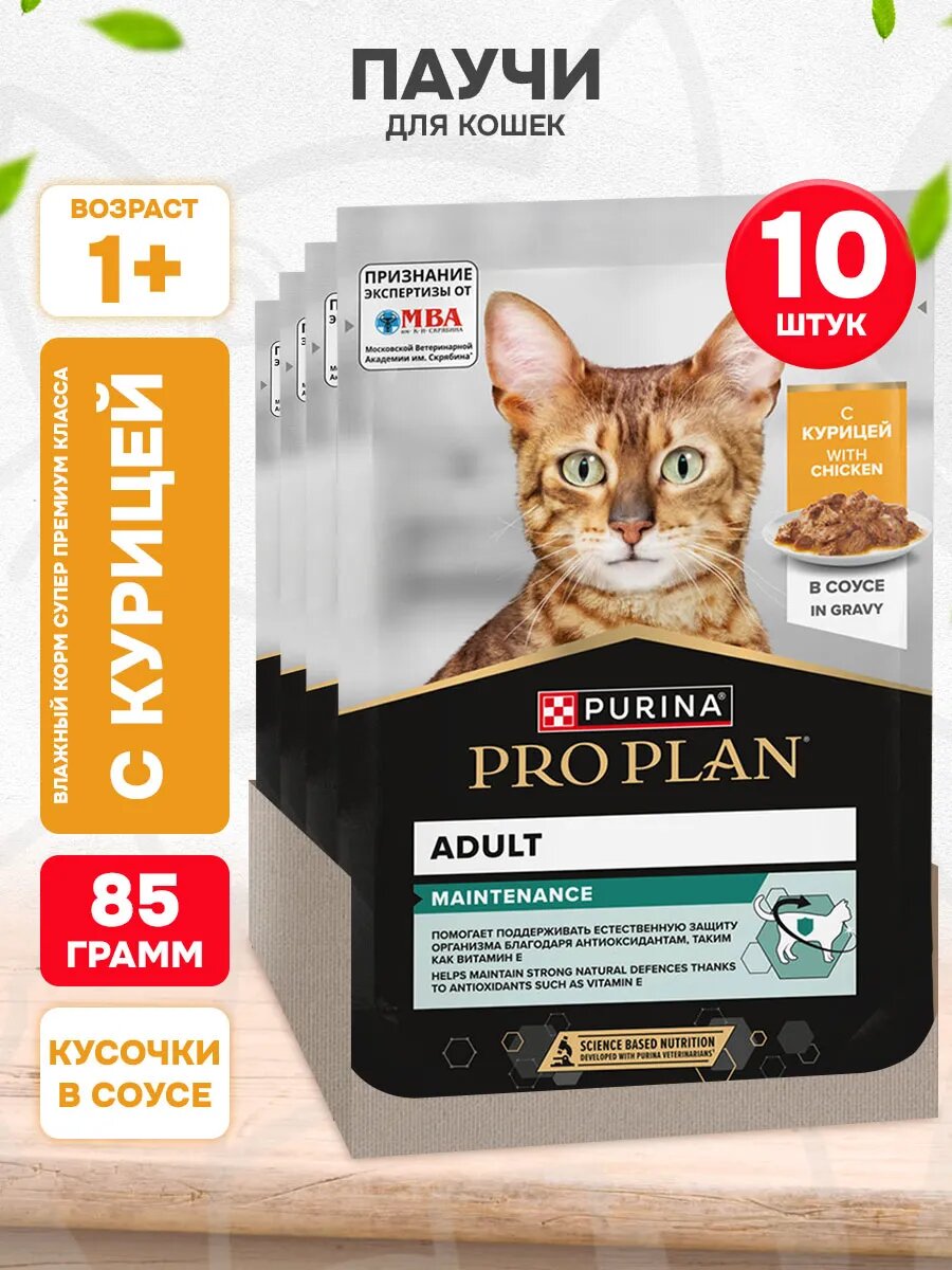 Корм влажный Pro Plan Maintenance для взрослых кошек, курица в соусе, 85 г 10 шт