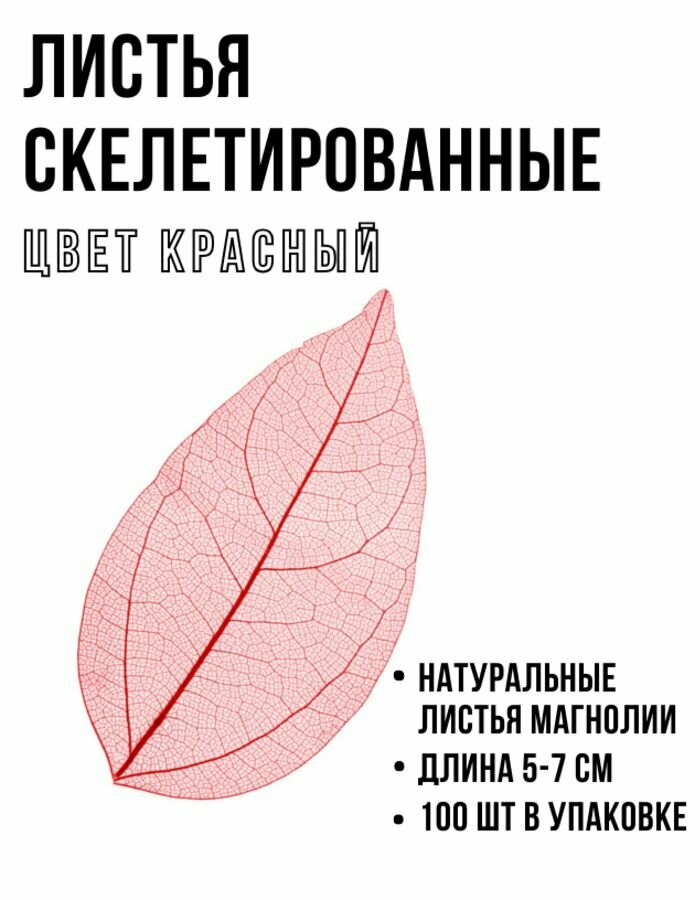 Листья скелетированные малые 100 шт./уп. 5-7см. Красные