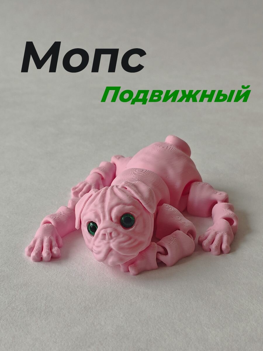 Мопс подвижный