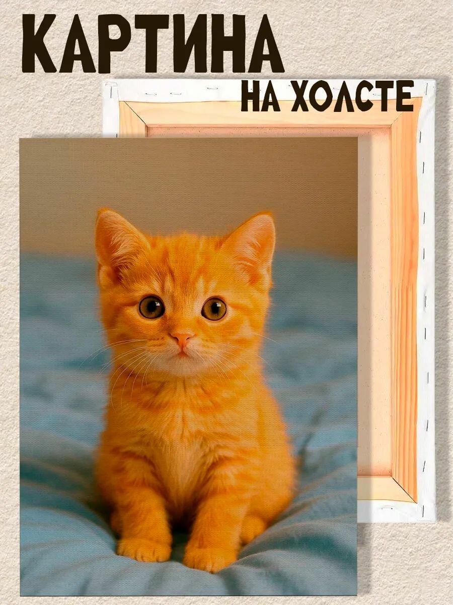 Картина на стену Милые котики, на подрамнике, 1шт, 25х17 размер.