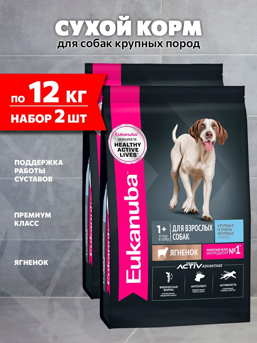 Корм сухой Eukanuba для взрослых собак крупных пород, ягненок, 12 кг х 2 шт