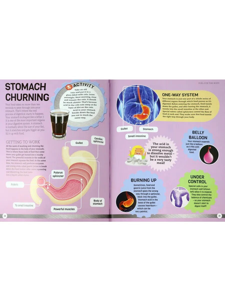 How Your Body Works. The Ultimate Visual Guide — фото 1