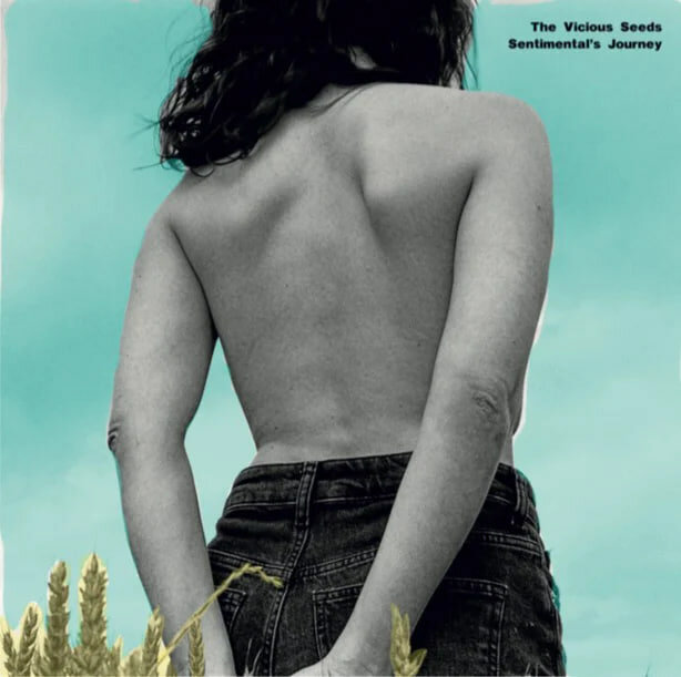 The Vicious Seeds - Sentimental's Journey
