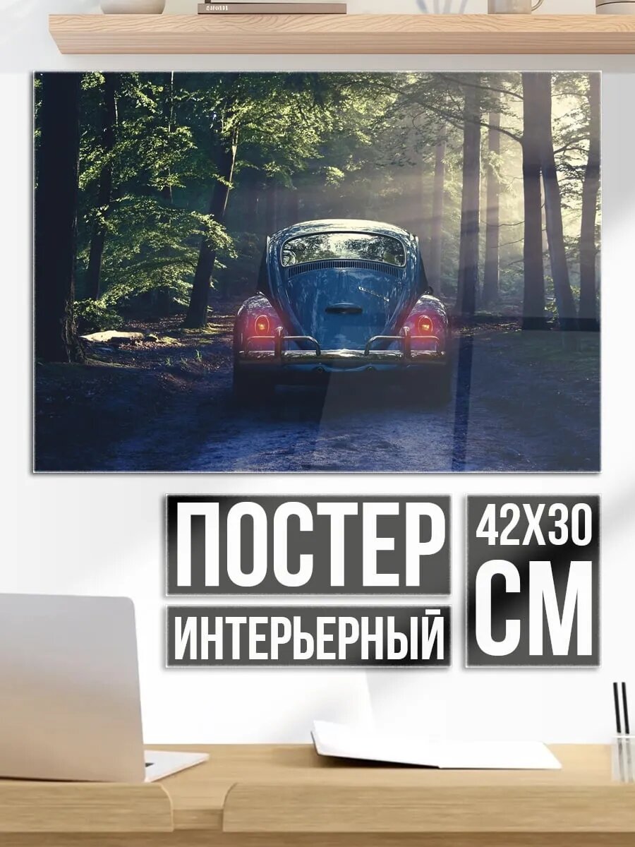Плакат постер Жук в лесу
