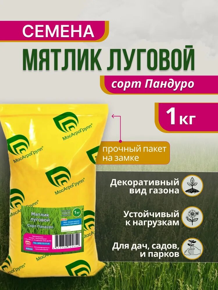 Семена Мятлика лугового сорт Пандуро1кг Мосагрогрупп Биотик