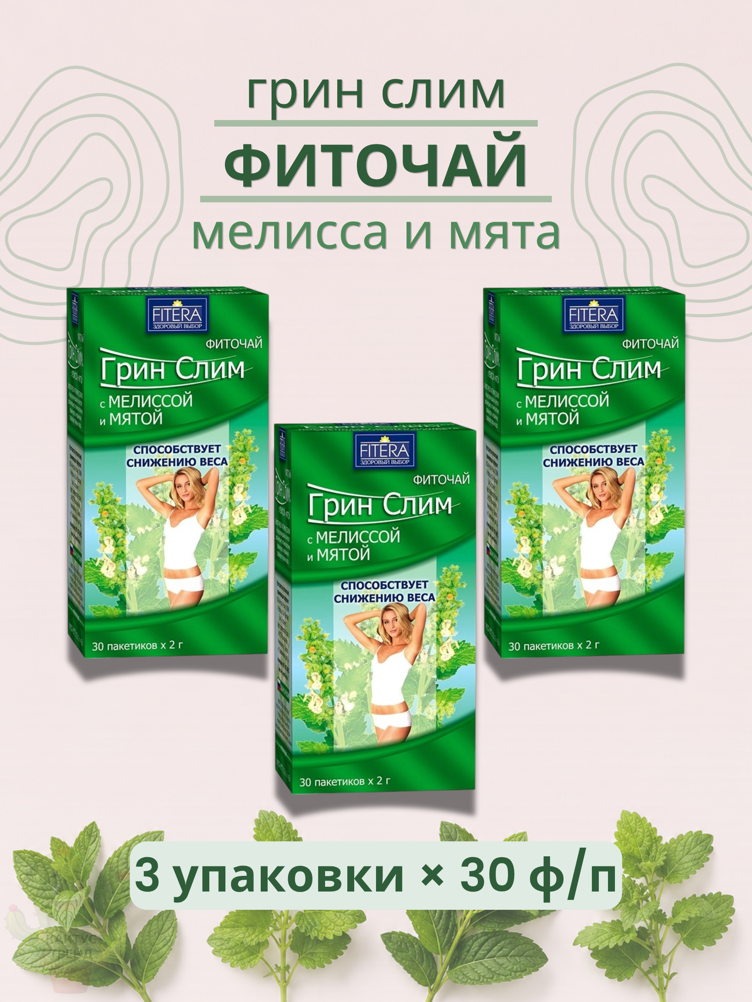 Фиточай грин-слим ТИ с мятой-мелиссой FITERA 30 фильтр-пакетов 3уп