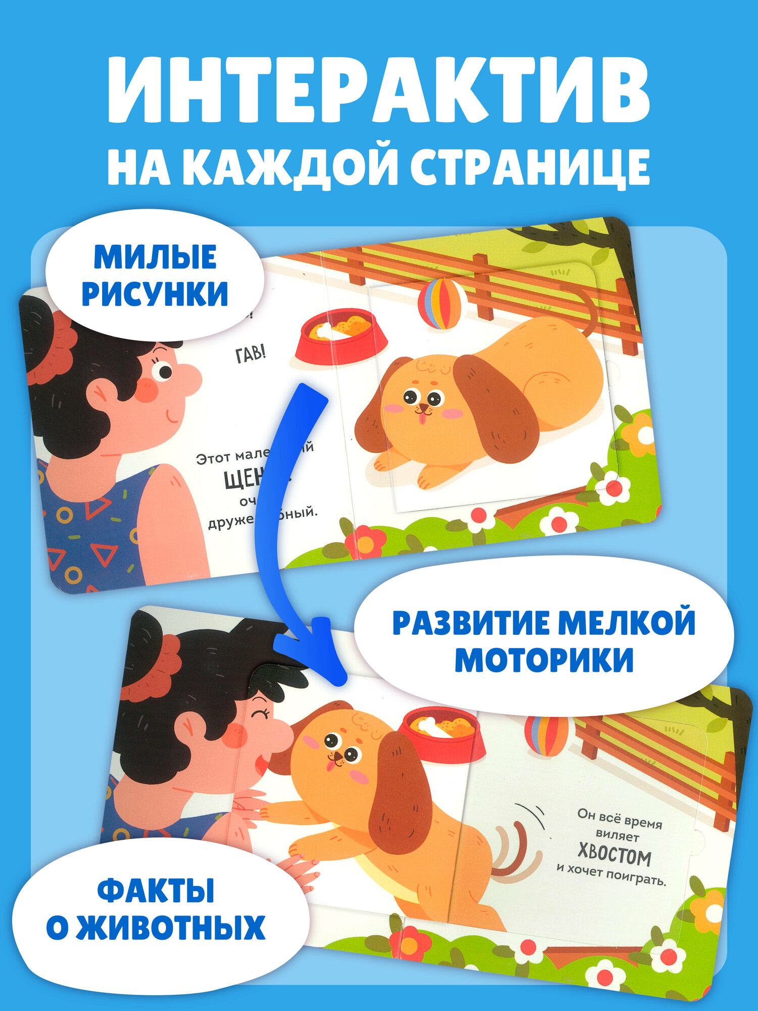 Животные фермы — фото 1