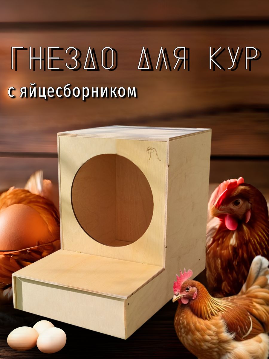 Гнездо для кур-несушек с яйцесборником
