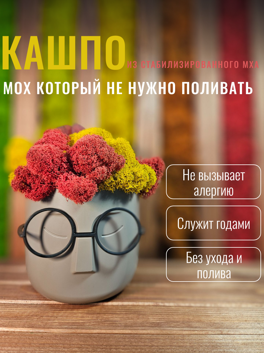 Кашпо горшочек Он с стабилизированным мхом с черными очками пластиковый