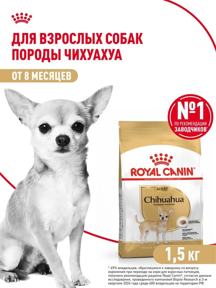 Сухой корм для собак Royal Canin для породы чихуахуа, 1,5 кг