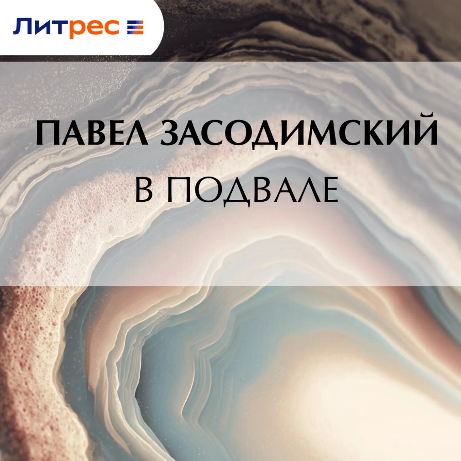 В подвале [Аудиокнига]