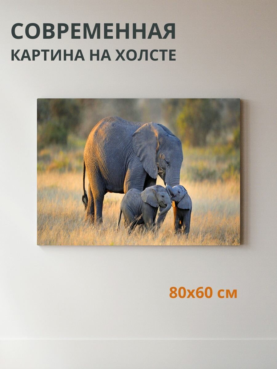 Картина на холсте Семейство африканских слонов 80x60 см