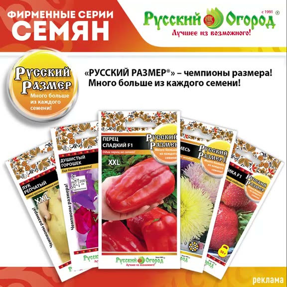 Семена Редис Родос — фото 1
