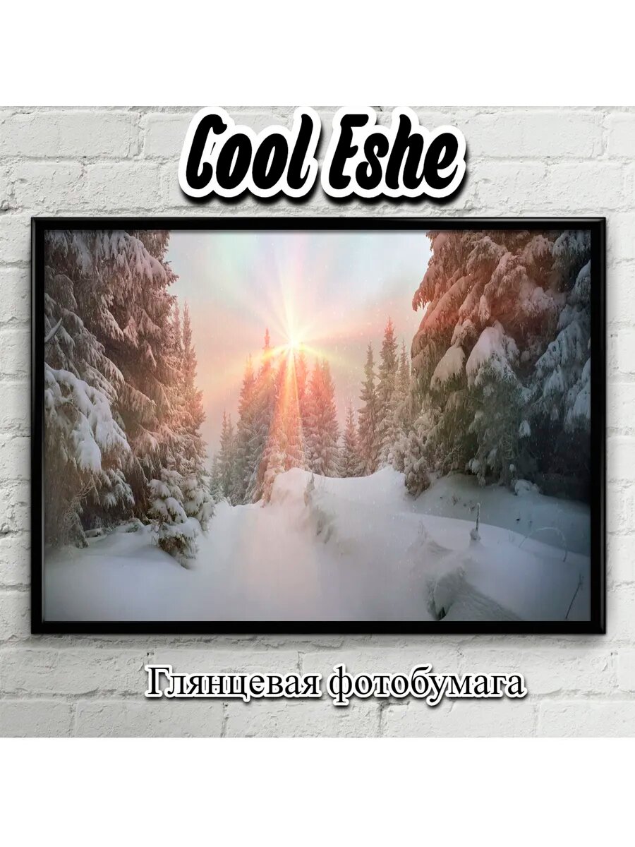 Плакат "Солнечный пейзаж, зима лес" А4