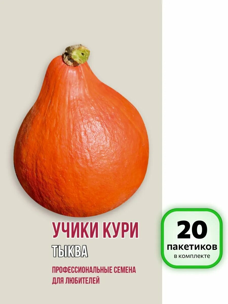 (20 шт.) - Семена Тыква учики кури 5шт