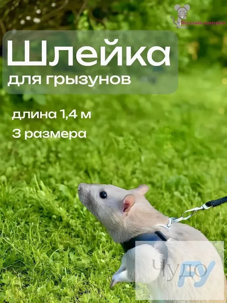 Шлейка для грызунов