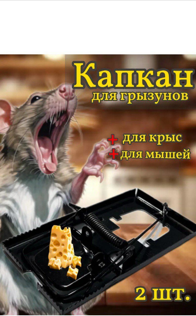 Металлическая мышеловка-крысоловка 12/6,5 см. 2 шт. мышеловка крысоловка ловушка для мышей