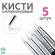 Набор кистей для рисования, 5 шт.