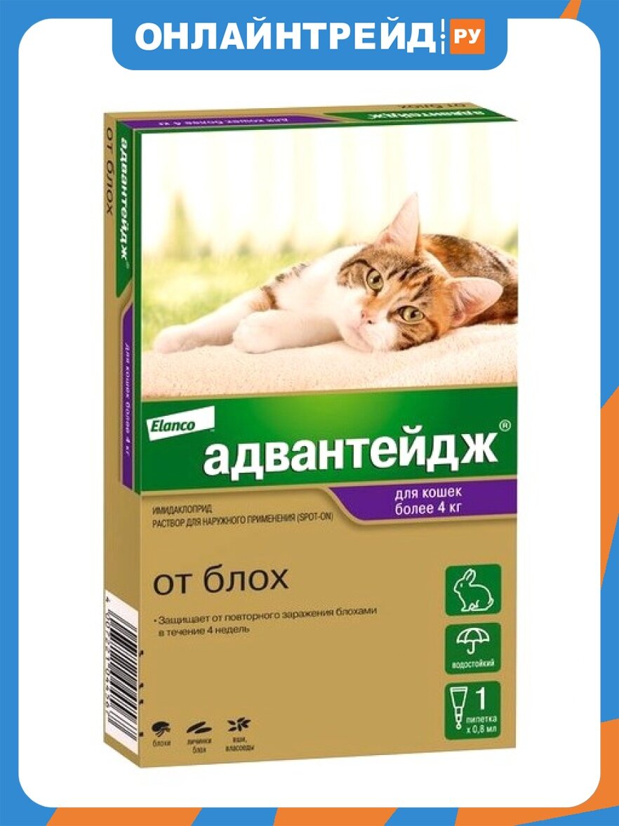 Капли Elanco Адвантейдж 80 К от блох для кошек больше 4 кг 1 пипетки х 0,8 мл