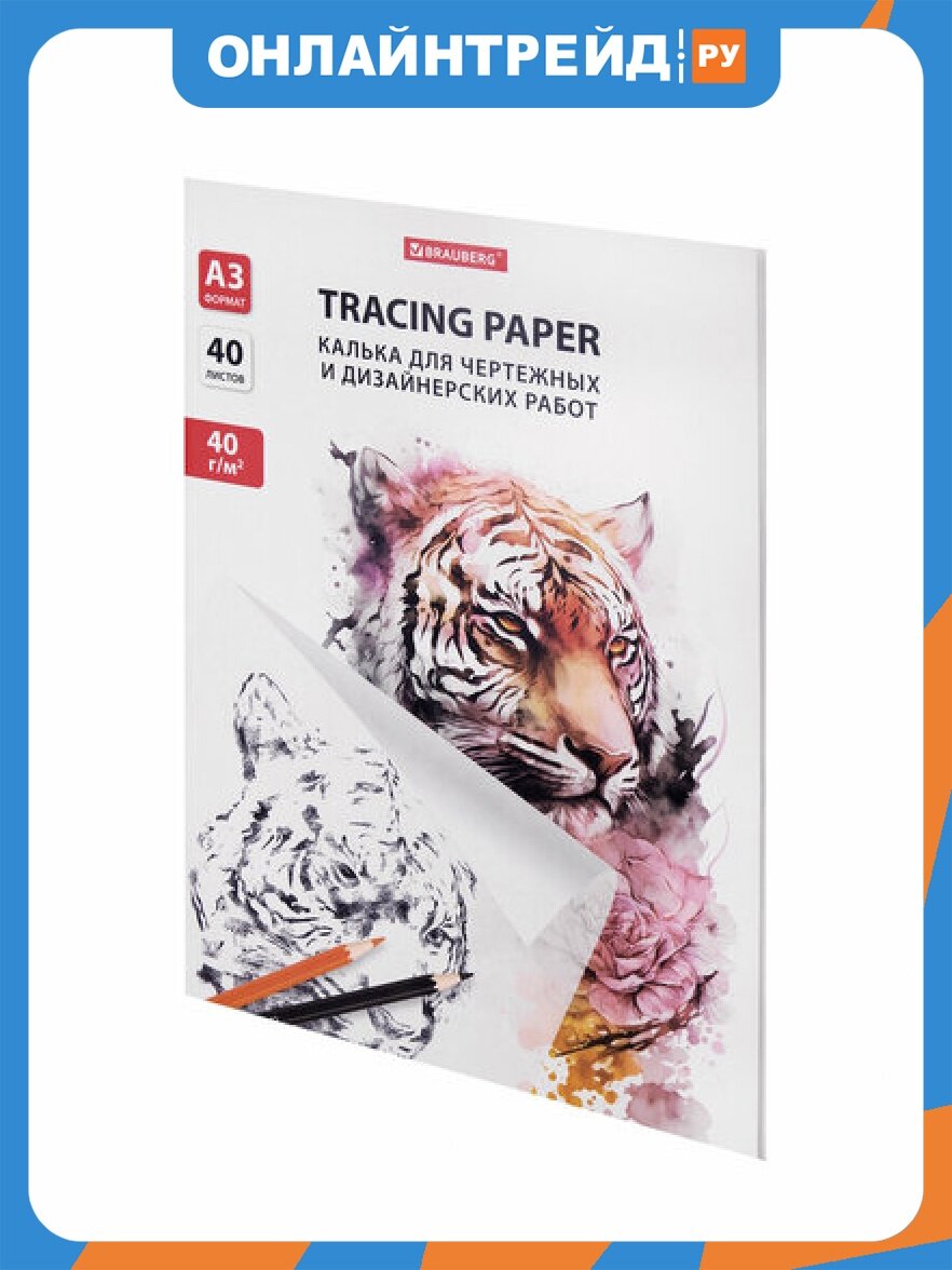 Калька Brauberg для чертежных и дизайнерских работ папка, А3, 297х420 мм, 40 г/м2, 40 листов, , 116374