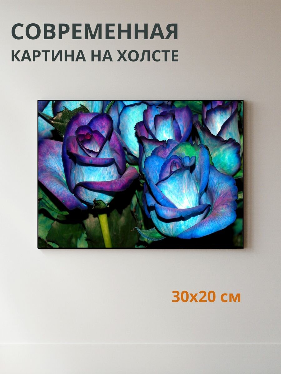 Картина на холсте Синее сердце и фиолетовая роза 30x20 см