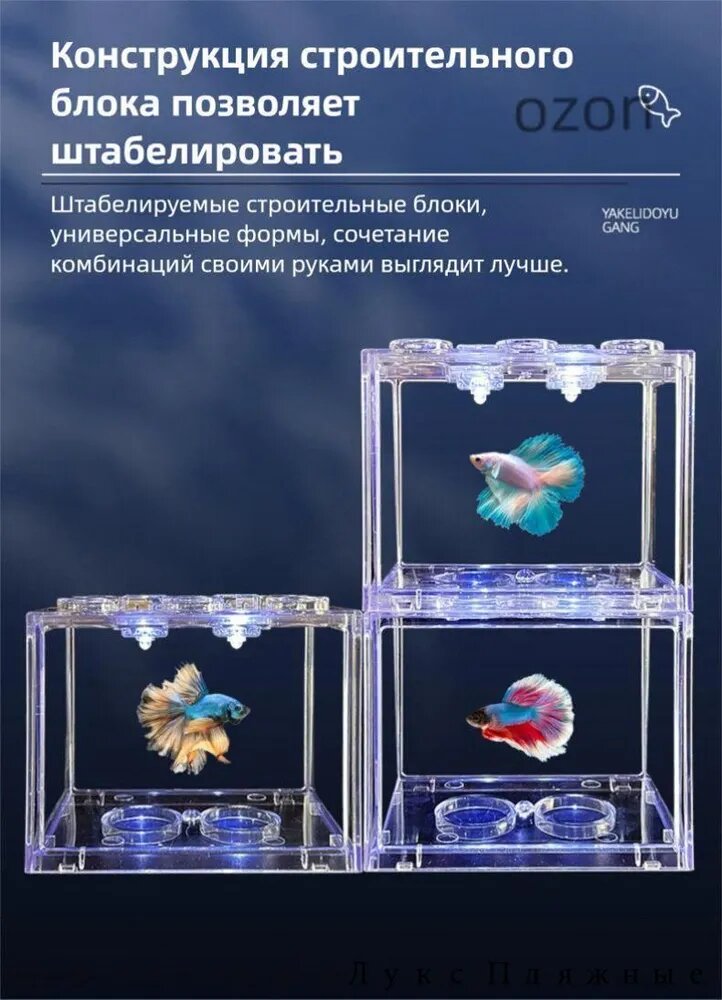 Экологичный аквариум для петушков - настольный микроландшафт с LED-подсветкой (акриловый конструктор)