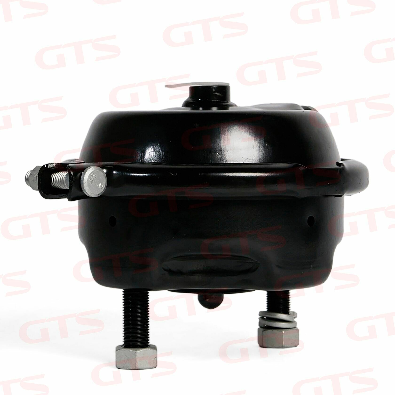 GTS Тормозная камера дискового тормоза, 24 G150102004