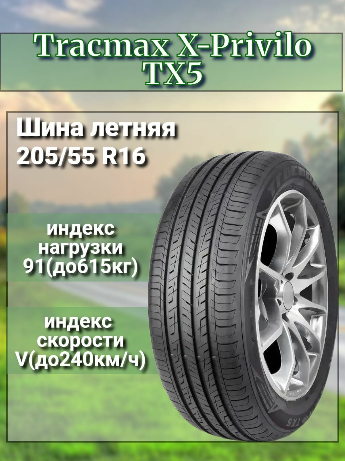 Шина легковая летняя Tracmax X-Privilo TX5 205/55 R16 91 V