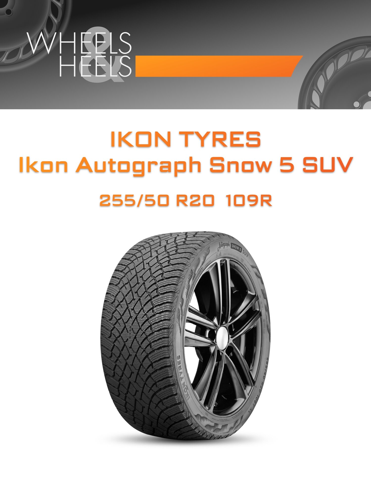 Шина автомобильная Ikon Tyres Ikon Autograph Snow 5 SUV 255/50 R20 109R XL WINTER, зимняя, универсальная