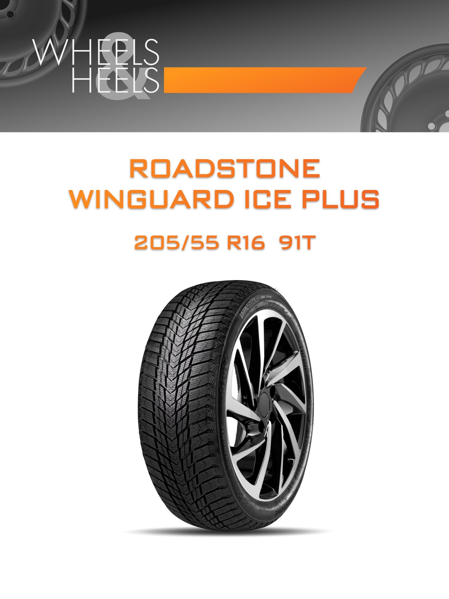 Шина автомобильная Roadstone WINGUARD ICE PLUS 205/55 R16 91T WINTER, зимняя, универсальная