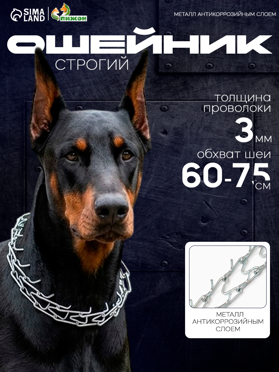 Строгий ошейник, 3 мм, 4 см, ОШ 60-75 см, проволочный, металл