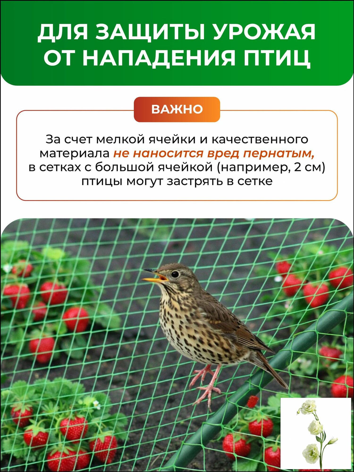 Сетка садовая,10х2м — фото 1