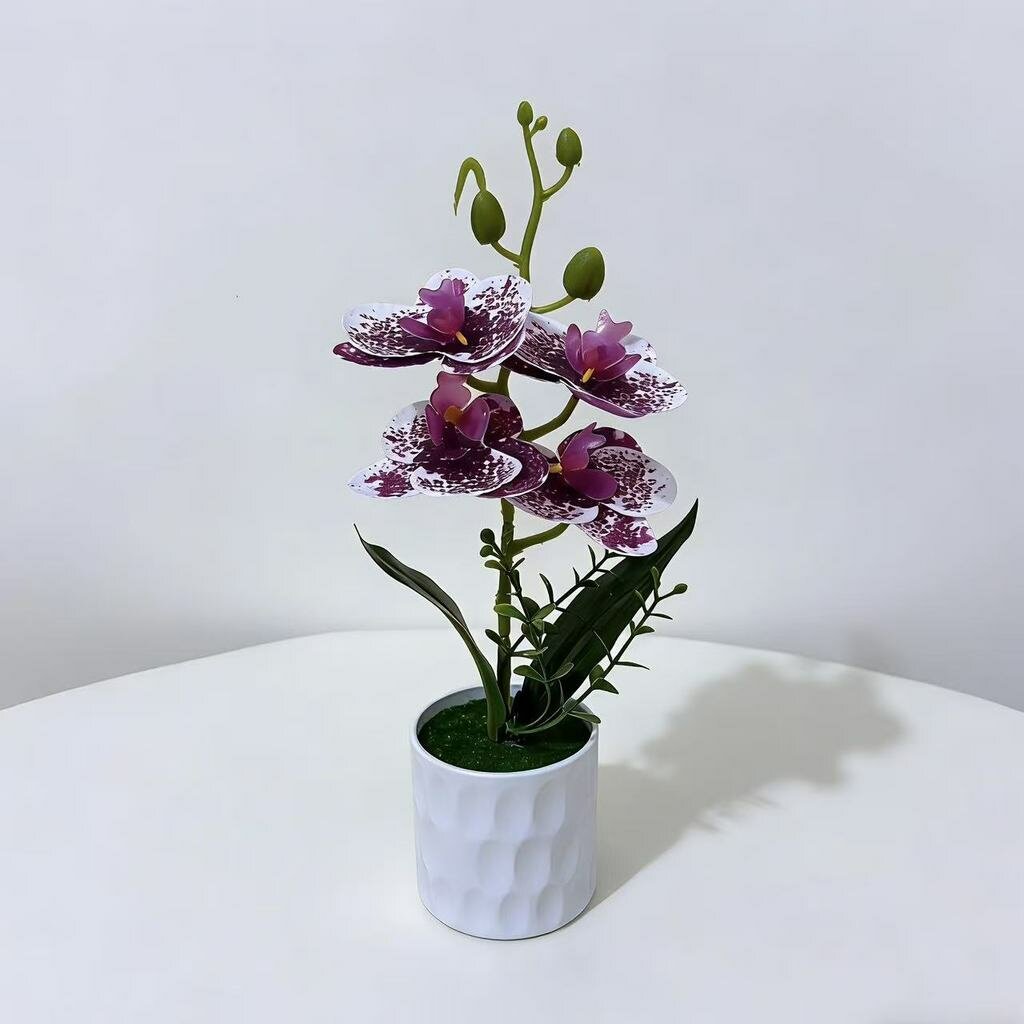 Realistic butterfly orchid with handmade crafting for office greenery decor stylec
