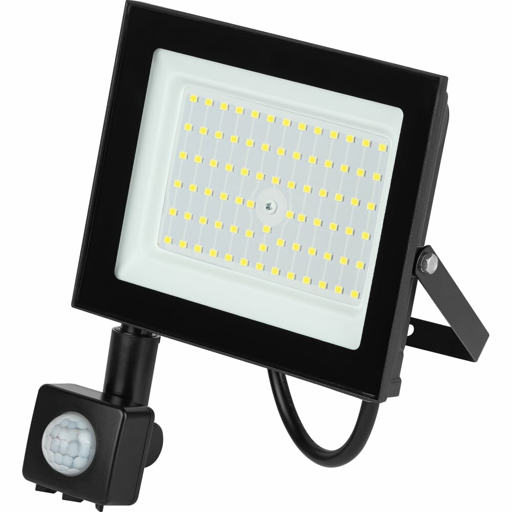 Прожектор светодиодный уличный ЭРА RED LINE LPR-024-2-65K-100 100Вт 6500K IP65 рег ИК датчик движения Б0070285