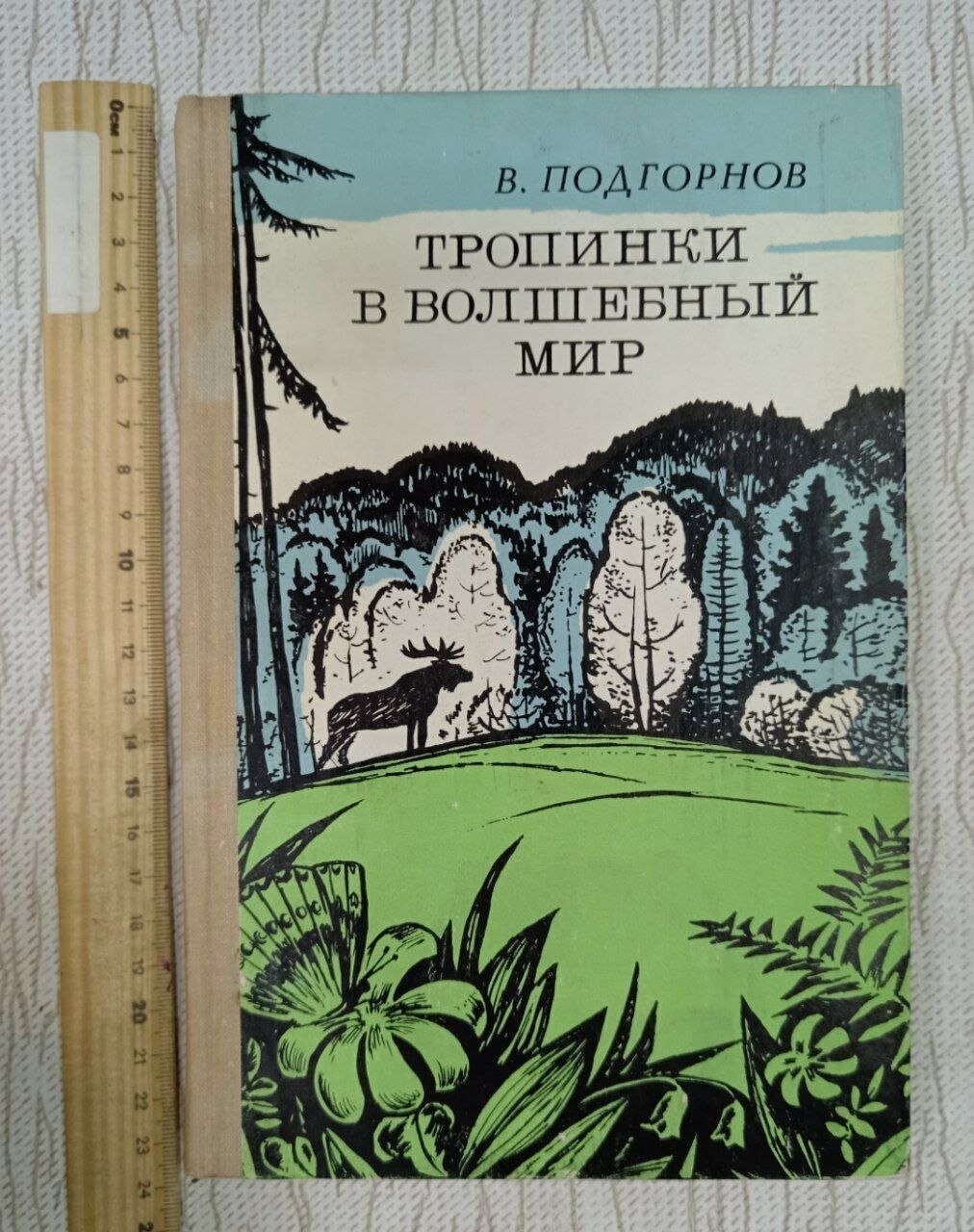 Тропинки в волшебный мир