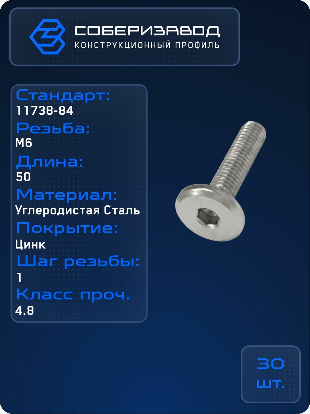 Винт с пл. головкой и внут. шест. M6 x 50 DIN 7420, A924 / 30 шт / соберизавод