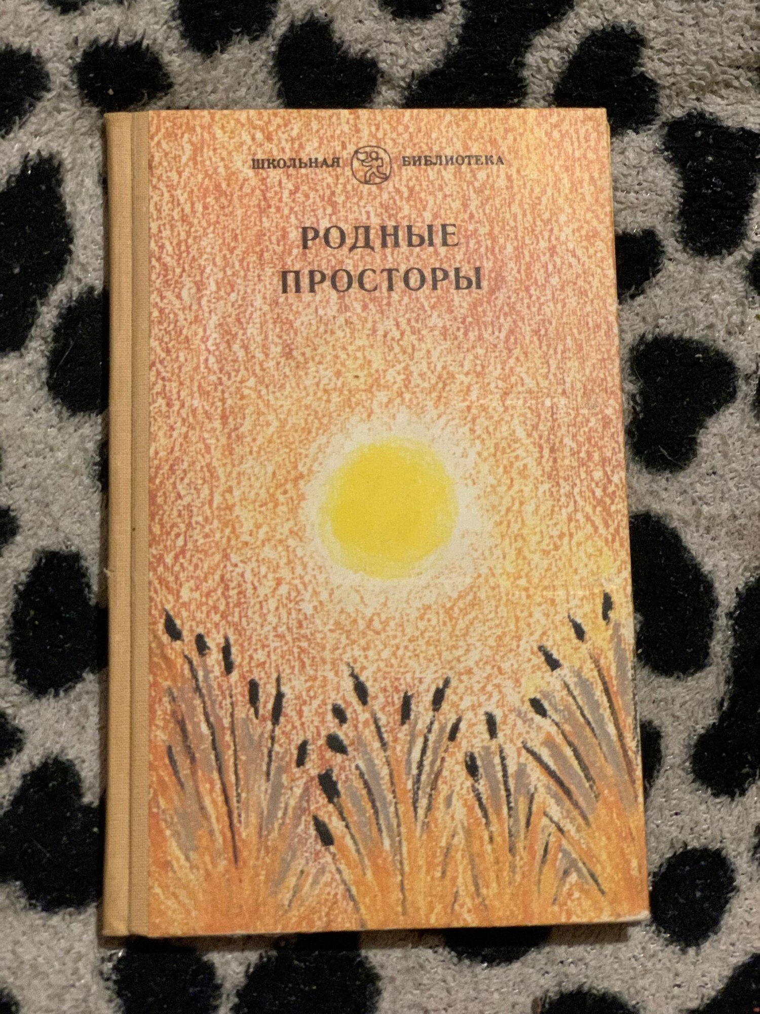 Родные просторы, Школьная библиотека
