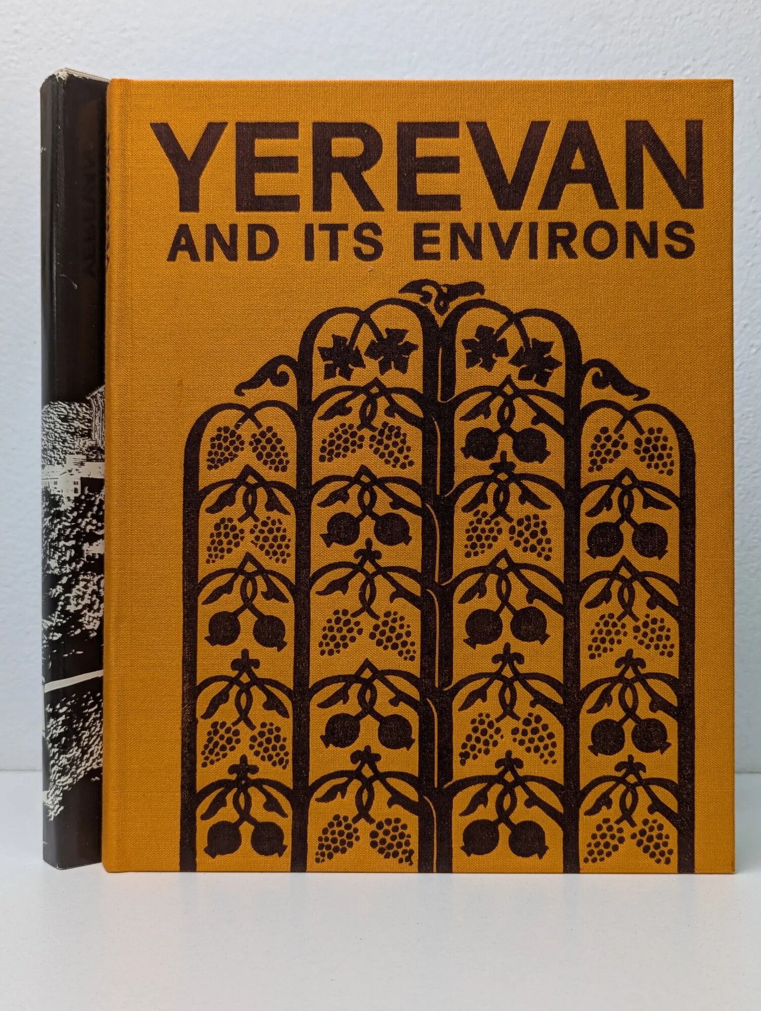 Yerevan and Its Environs Асратян Григорий Оганесович 1973