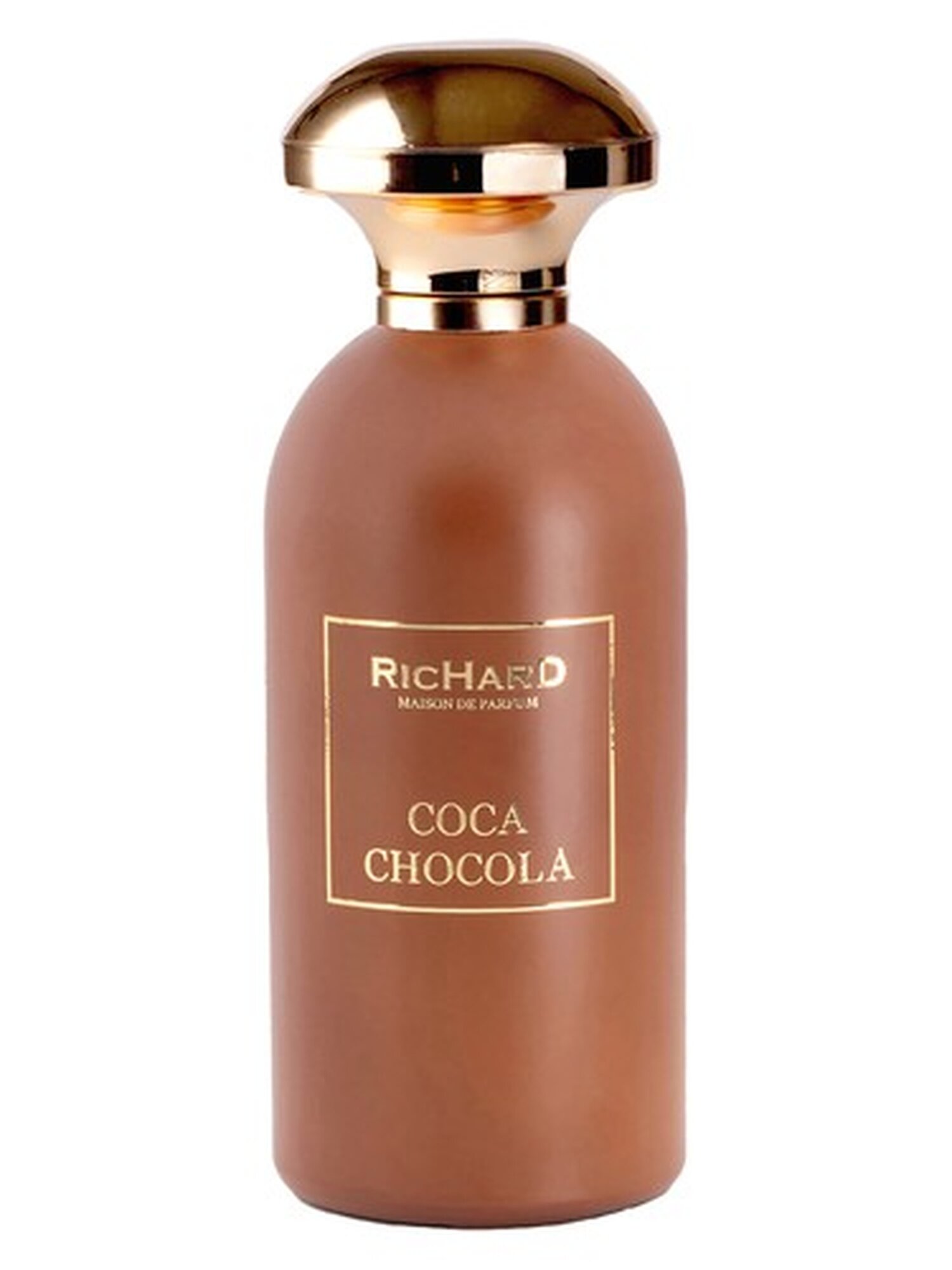 Парфюмерная вода Richard Coca Chocola, унисекс, объем 100 мл