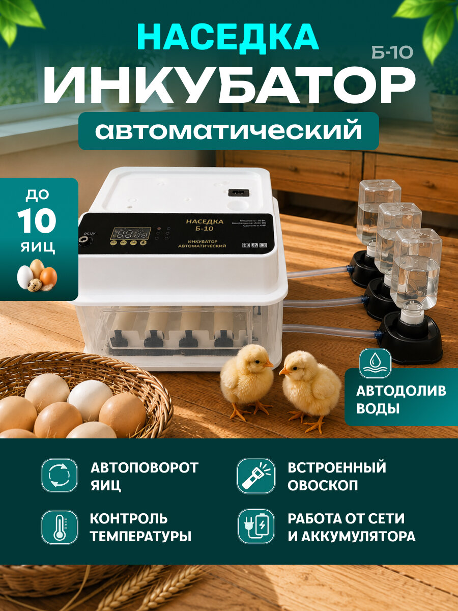Инкубатор для яиц автоматический Наседка Б-10 с терморегулятором, овоскопом, автоповоротом, 220В/12В