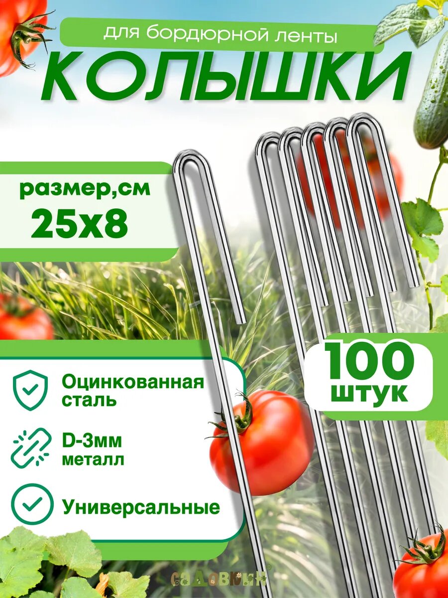 Скобы колышки для бордюрной ленты 25х8см, d-3 (100 штук)