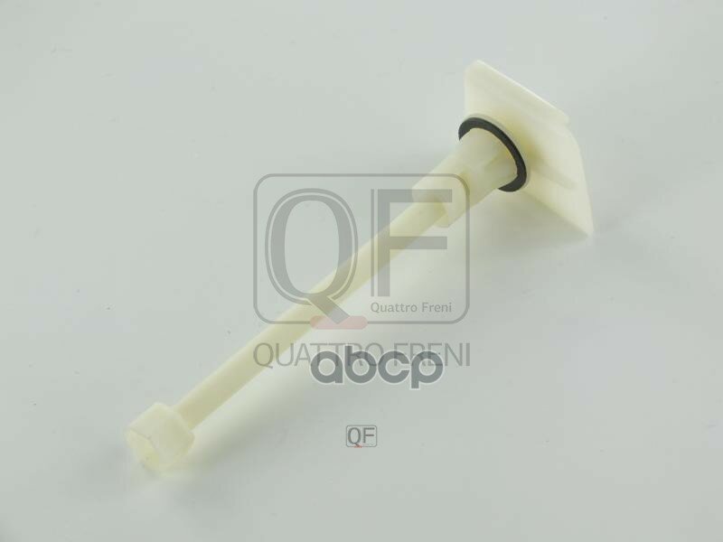 Клипса заднего фонаря QUATTRO FRENI арт. qf33g00300