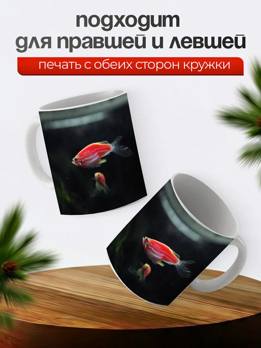 Кружка Данио рыбка 2, — фото 1
