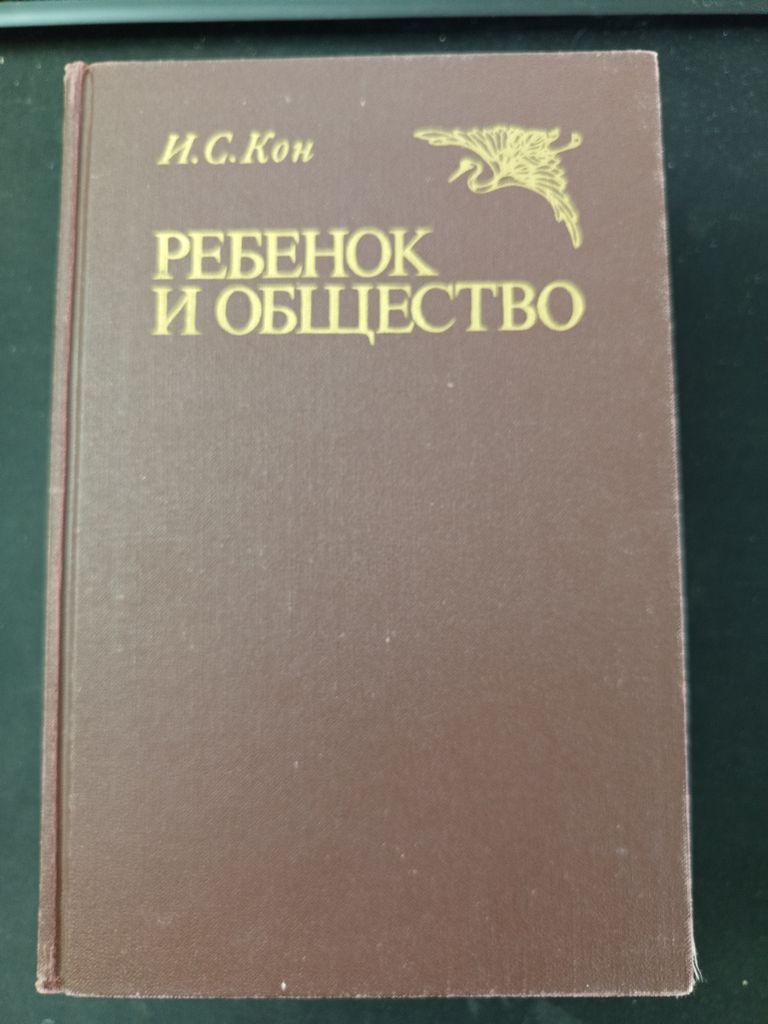 Ребенок и общество: (Историко-этнографическая перспектива). Кон И. С.